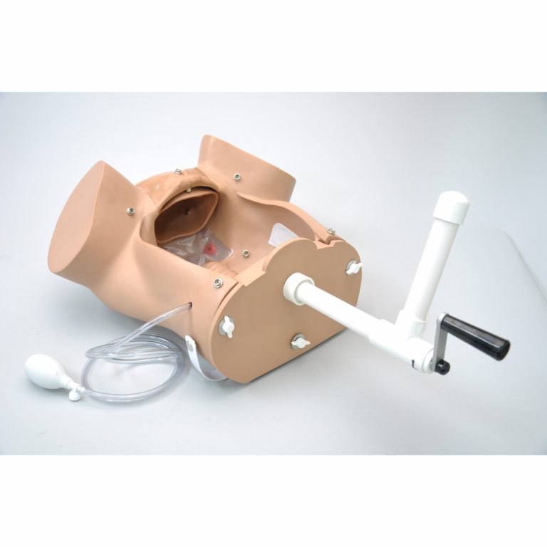 Noelle® Birthing Simulator with PEDI® Blue Neonate - SEM Trainers