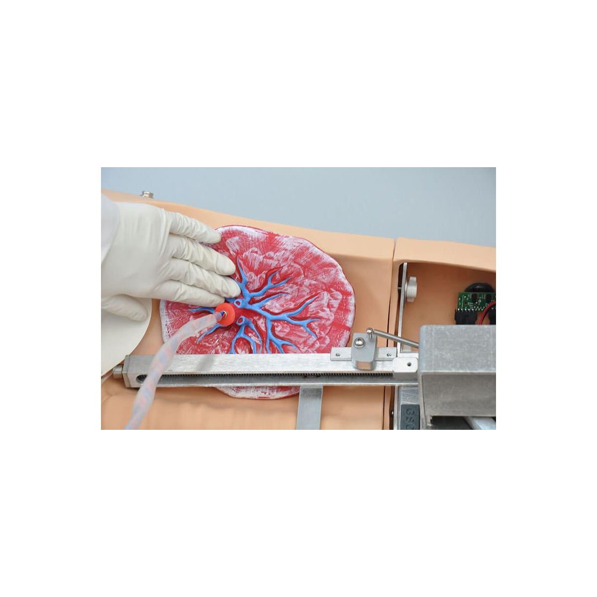 Noelle® Birthing Torso with birthing baby - SEM Trainers