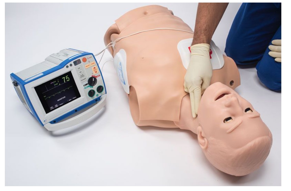 HAL® S315.600 CPR+D Skills Trainer with OMNI®2 full-body option - SEM ...