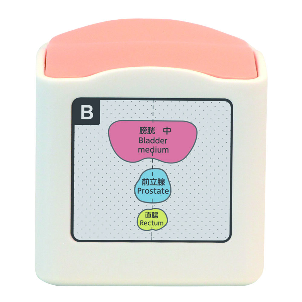 Rectal and Bladder Ultrasound Phantom - SEM Trainers