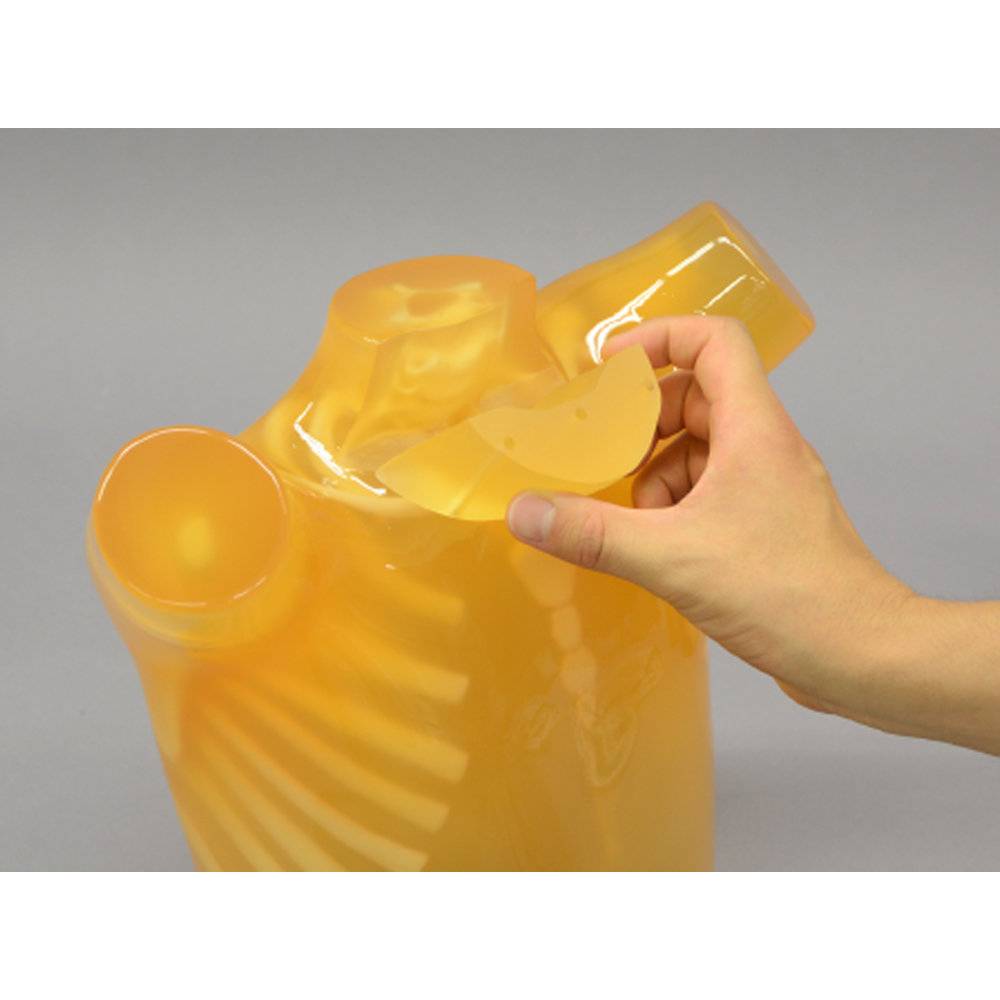 Pediatric Chest Phantom - SEM Trainers