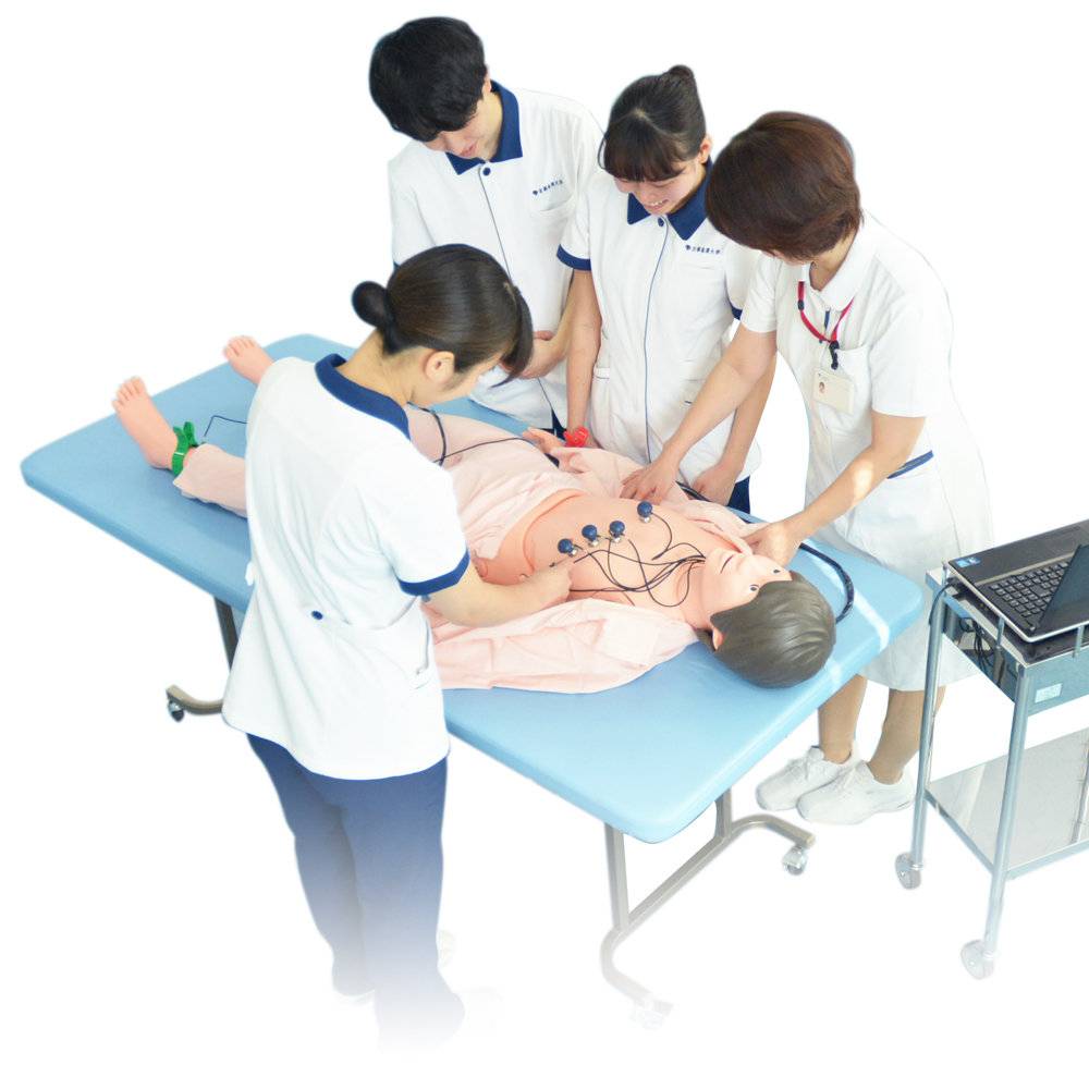 Physical Assessment Simulator "Physiko" - SEM Trainers