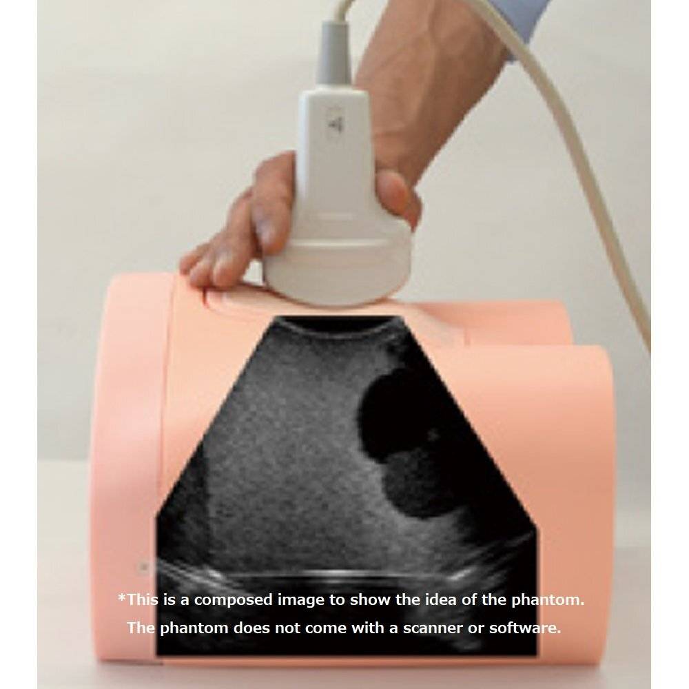 Intravesical Urine Volume Measurement Phantom - SEM Trainers