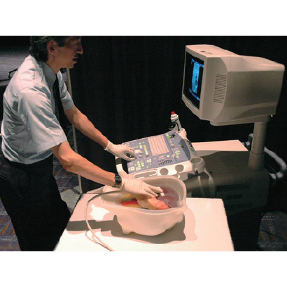 Abdominal Intraoperative & Laparoscopic Ultrasound Phantom "IOUSFAN ...