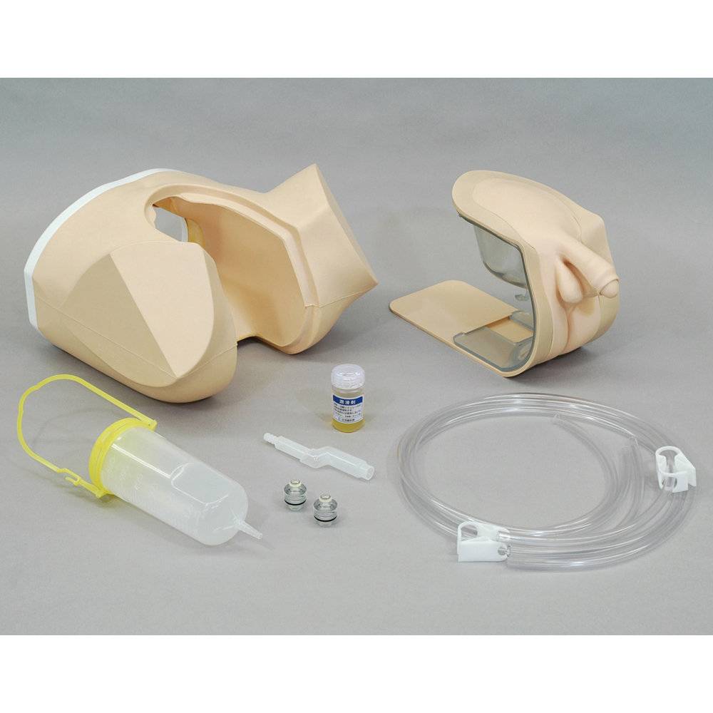 Male Catheterization/Enema Simulator - SEM Trainers