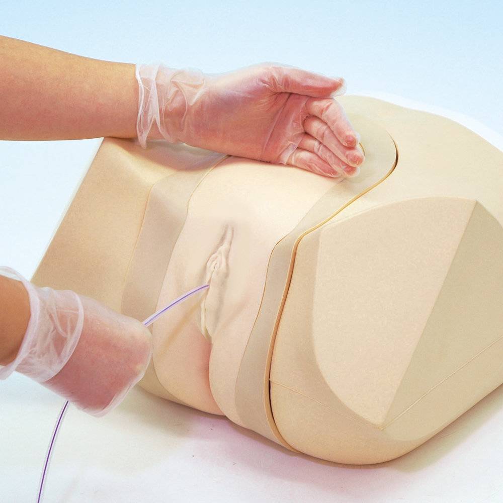 Female Catheterization/Enema Simulator - SEM Trainers