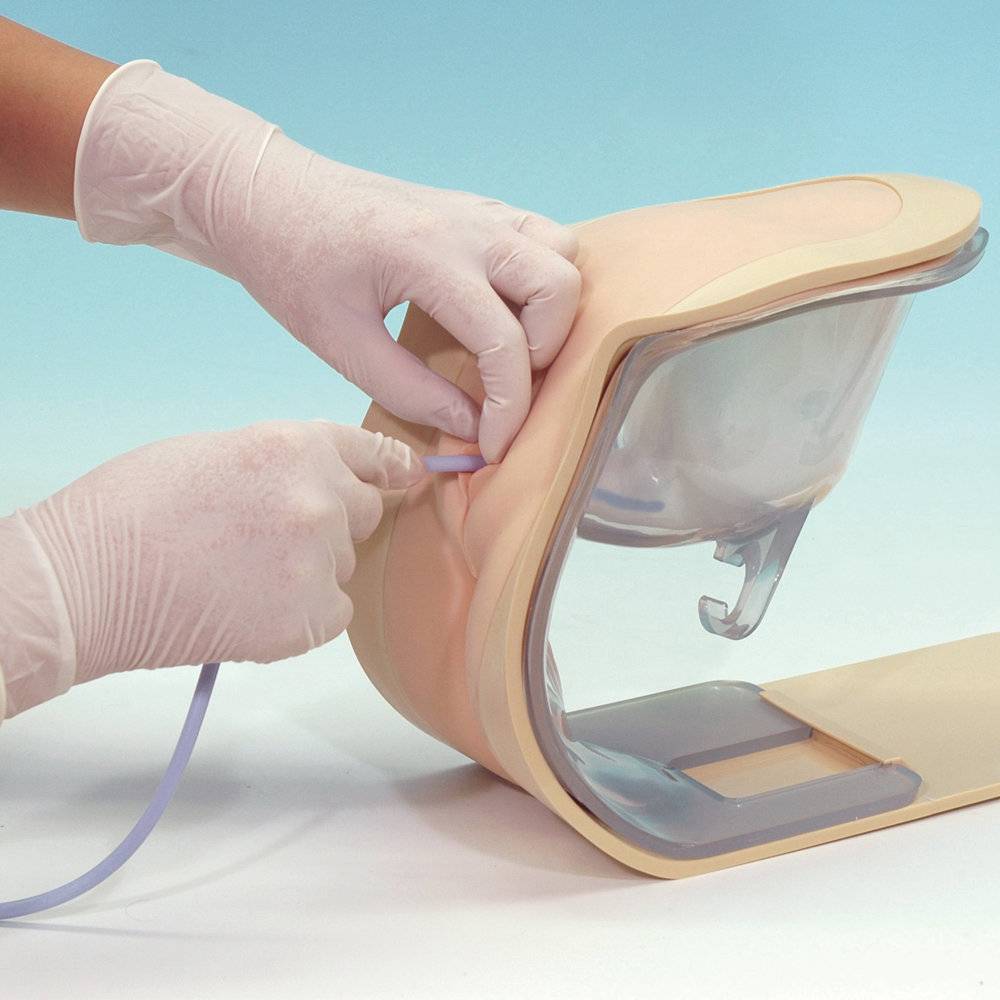 Female Catheterization/Enema Simulator - SEM Trainers